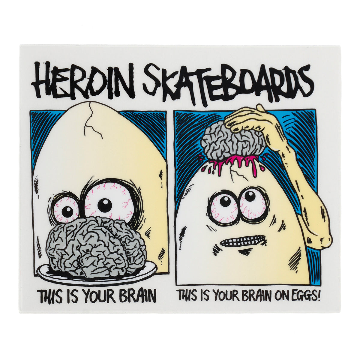 Brain On Eggs, Multi/Transparent – EXOSHOP